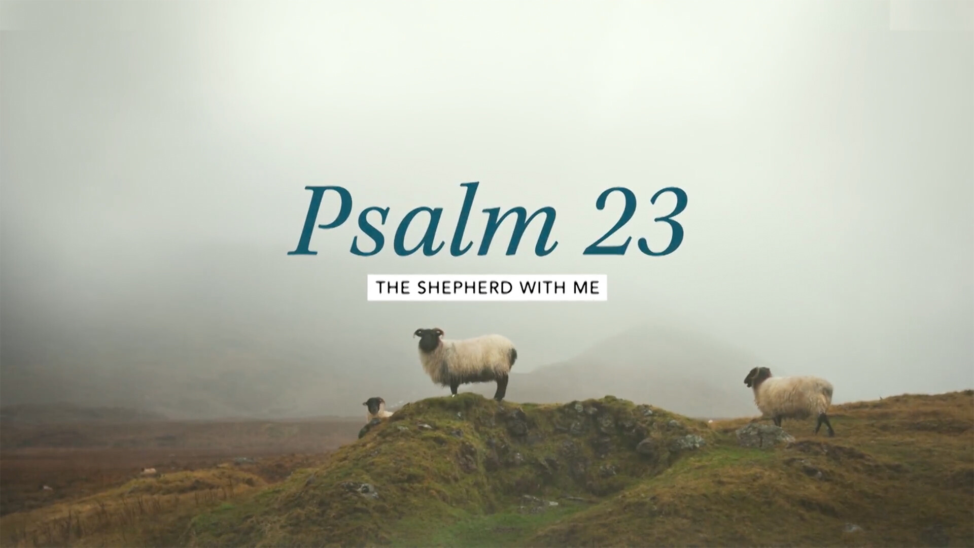 Psalm 23