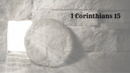 1 Corinthians 15 35 49 Sermons Our Saviour Lutheran Church 1 Corinthians 15 35 49 Sermons Our Saviour Lutheran Church