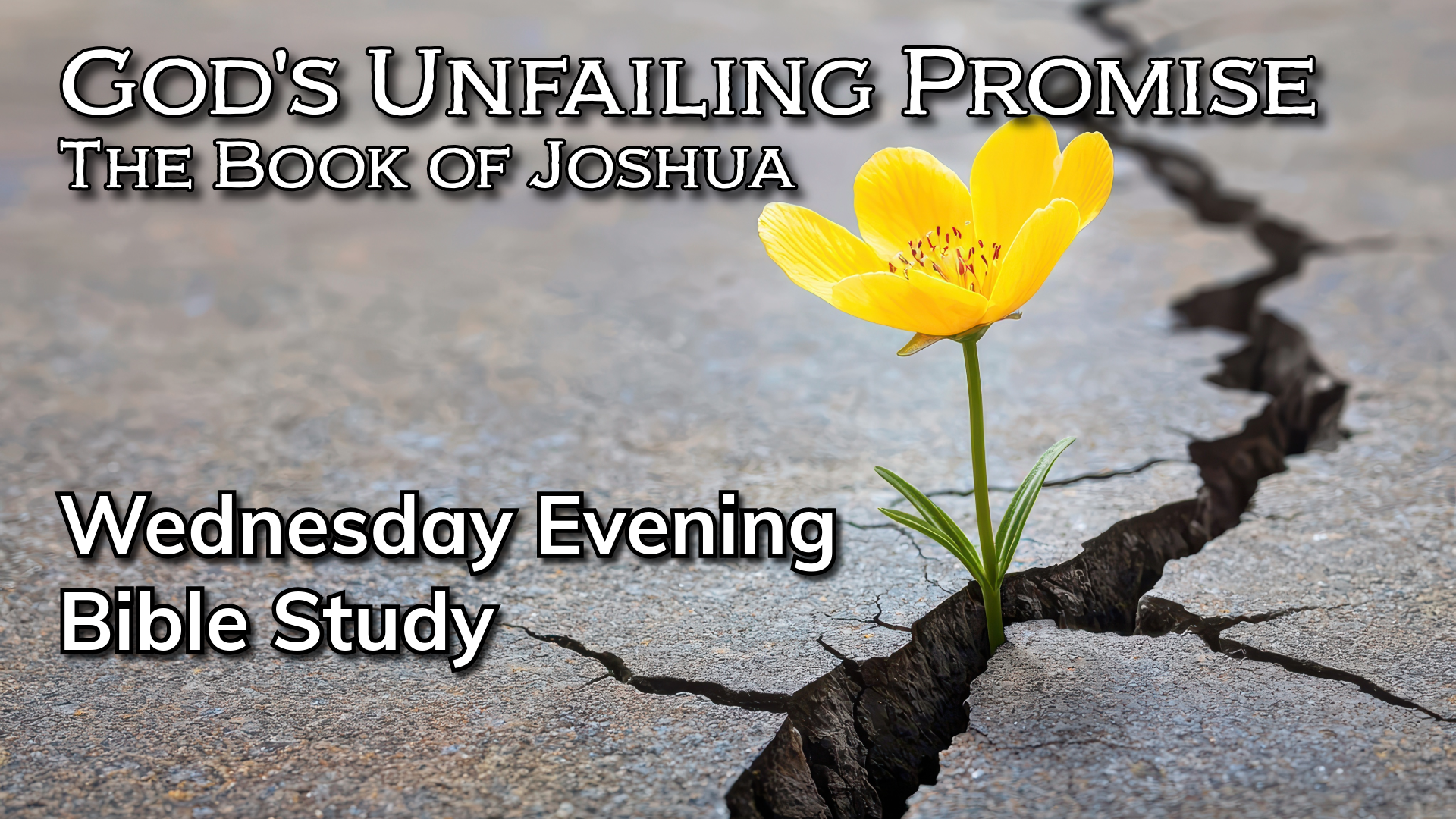 January 14, 2026 | Wednesday Bible Study | The Worship Place