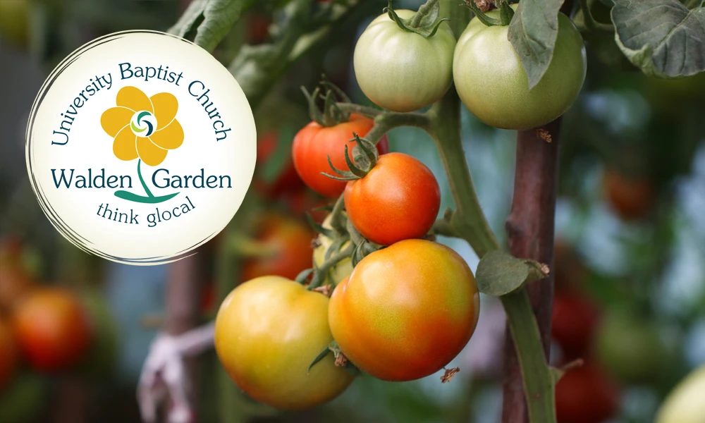 UBC Walden Garden 2023 | University Baptist Church-Houston