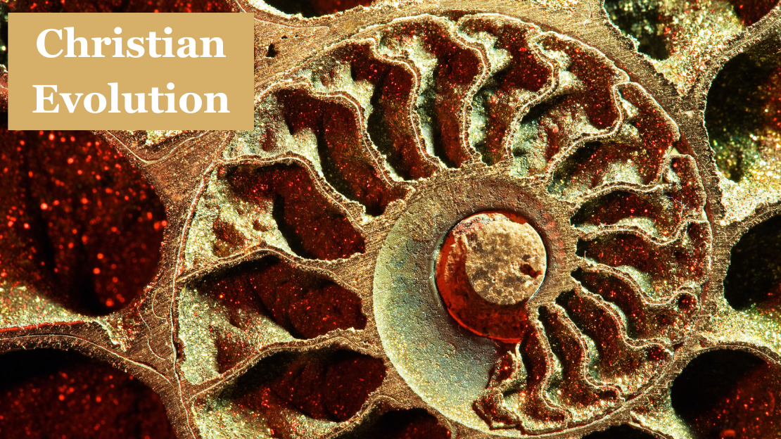 Christian Evolution | Faith and Life | Leesburg United Methodist Church ...