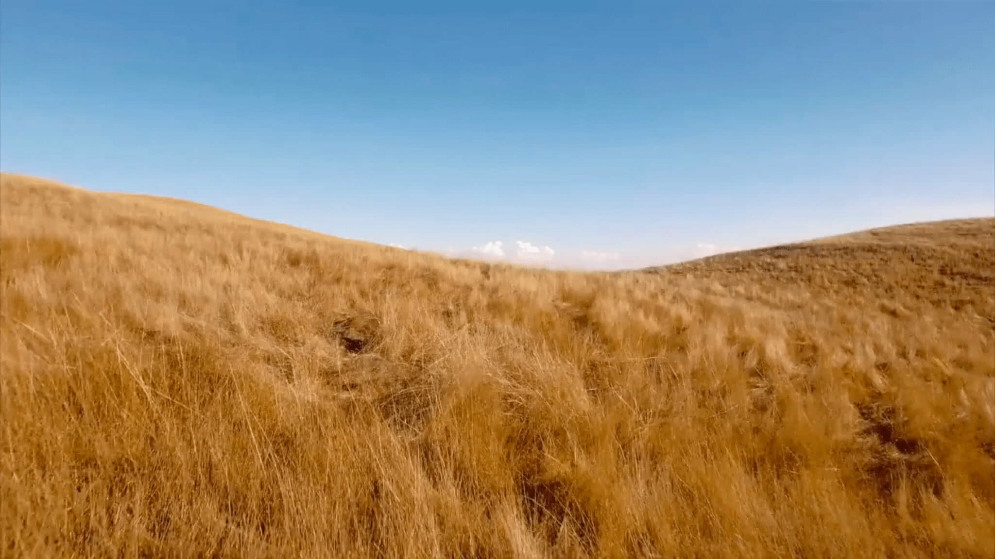 Vespers | St Justin Martyr Orthodox Church