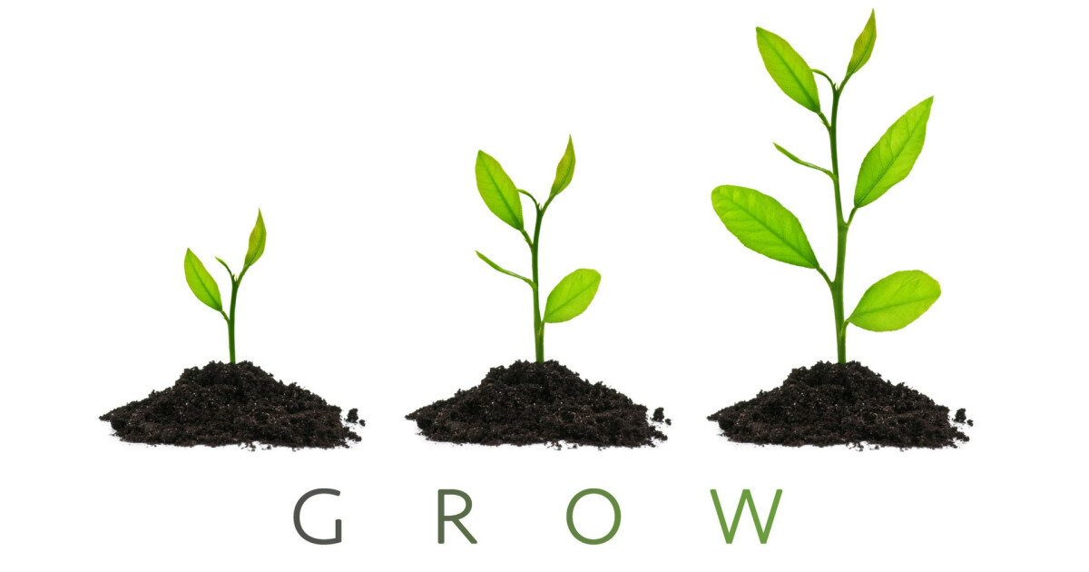 Only Living Things Grow | Sermons | Conway First Baptist Church