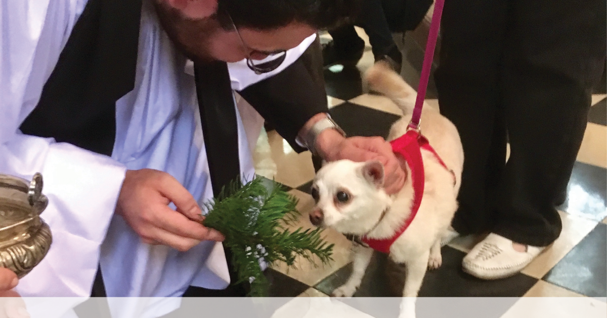 Blessing of the Animals | St. Luke in the Fields Church