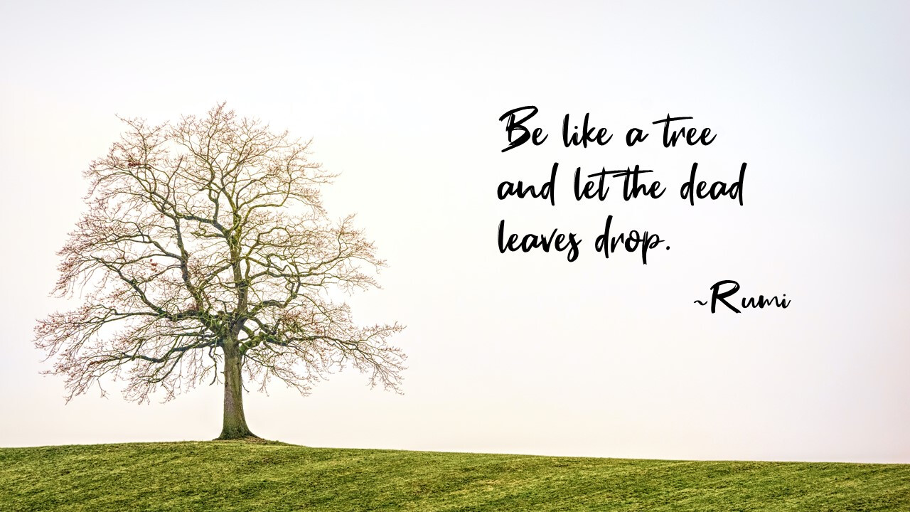 Guardian Angels News - Pastoral Pearls: Be like a tree