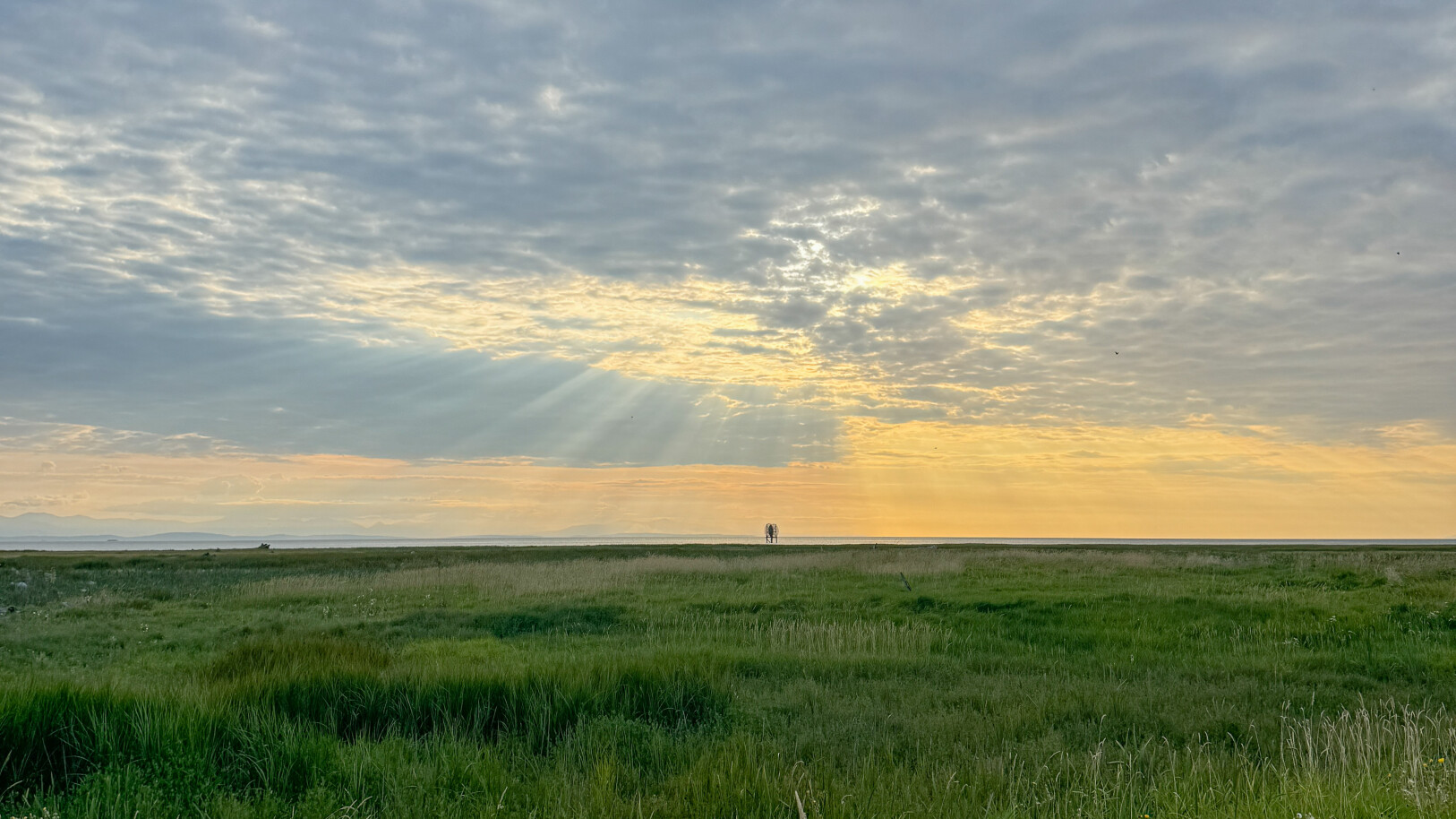 Divine Fruit: Joy | First News | m-89114