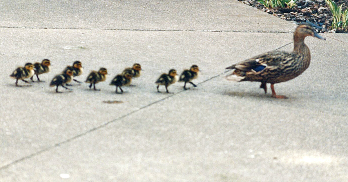 God Verbs | Sermons | Woodlake Lutheran Church