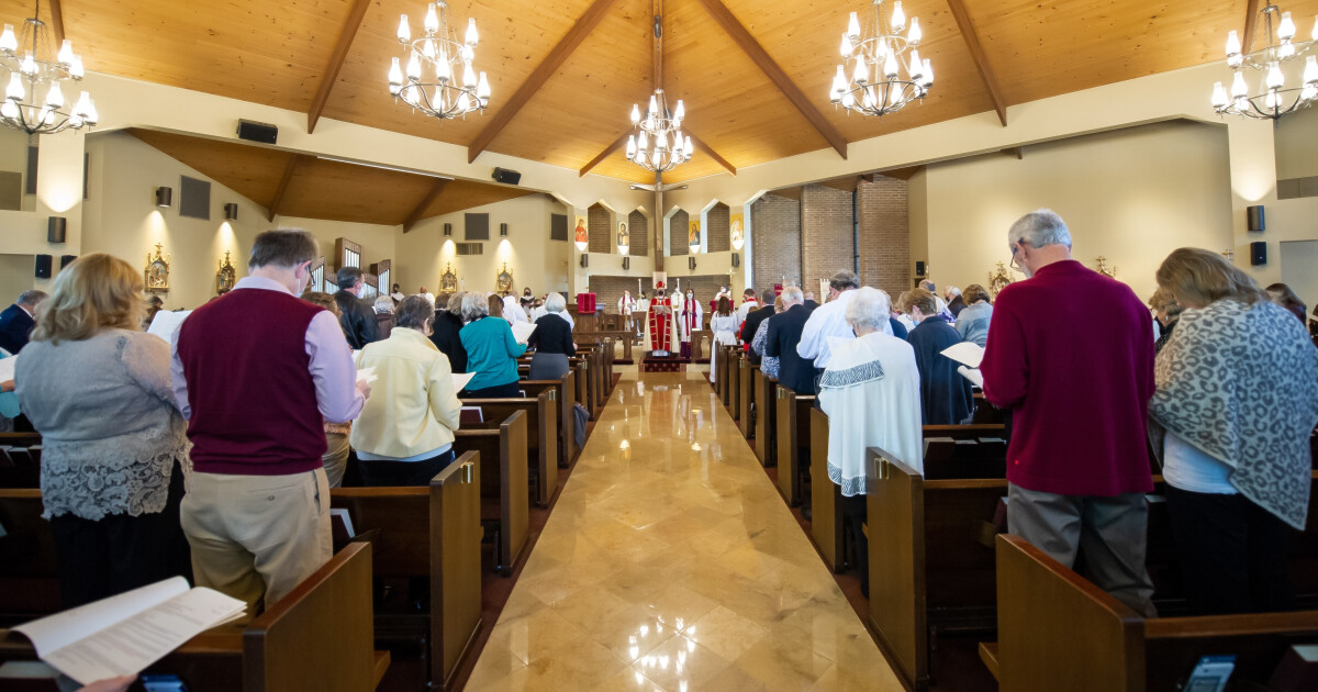 A Few Thoughts as We Begin A New Program Year | Fr. Roman's Blog | St ...
