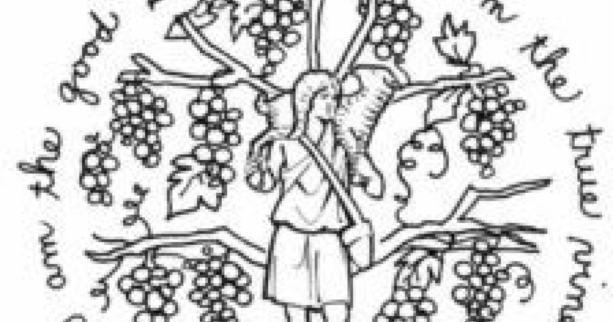 Catechesis of the Good Shepherd Level I & II | St. David's Episcopal