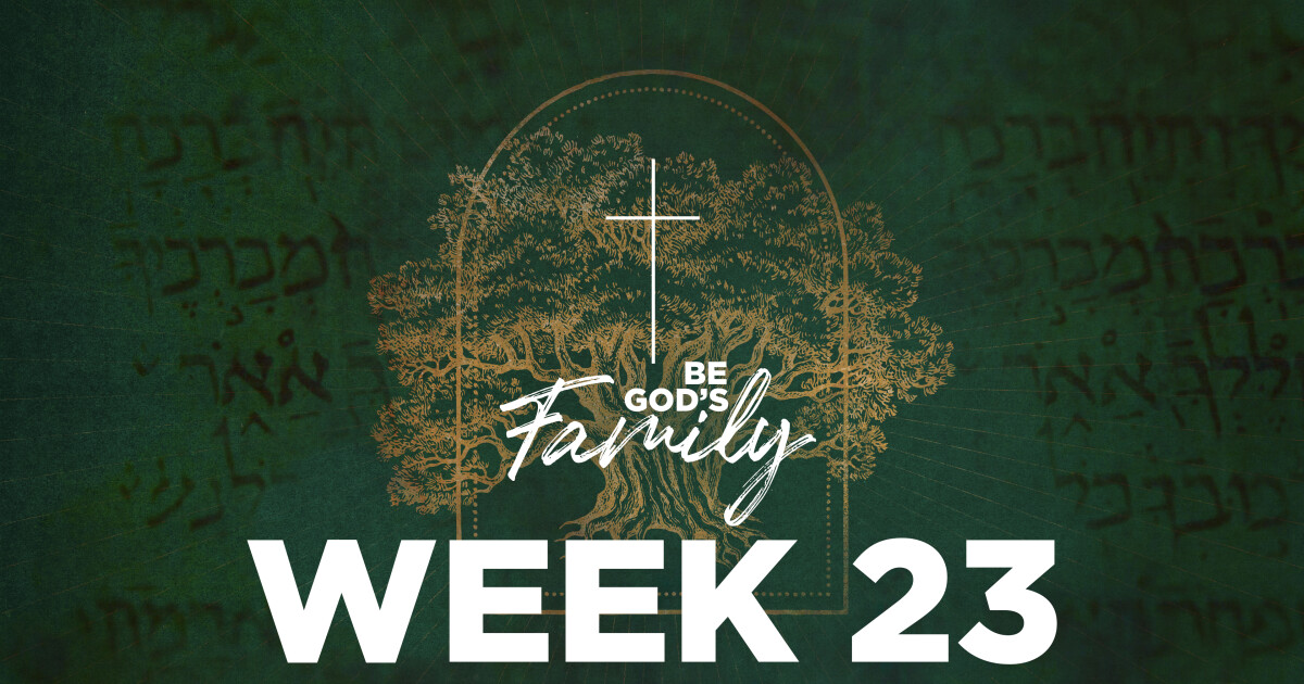 Week Twenty Three: Day Five | Articles | Fishers United Methodist Church