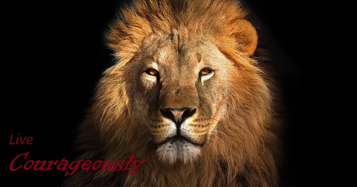 Live Courageously | Bible Studies For Life | First Baptist Church ...