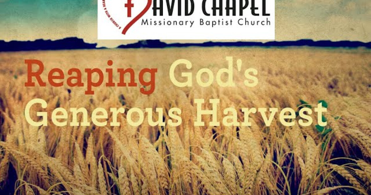 Grateful Hearts, Generous Hands | Sermons | David Chapel