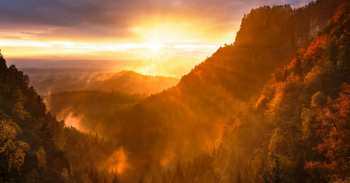 Genesis is Our Origin Story | The Pinnacle | NDBC