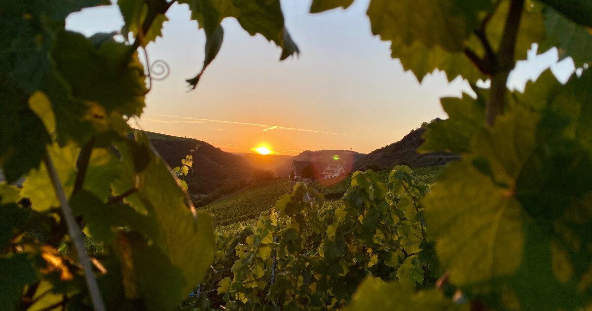 Rachel's Vineyard | Holy Apostles Catholic Church