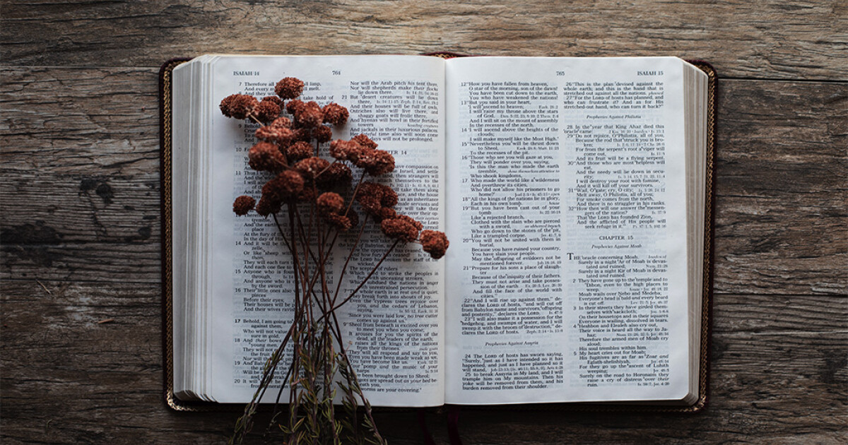 Trust Christ | Articles | The Church Without Walls