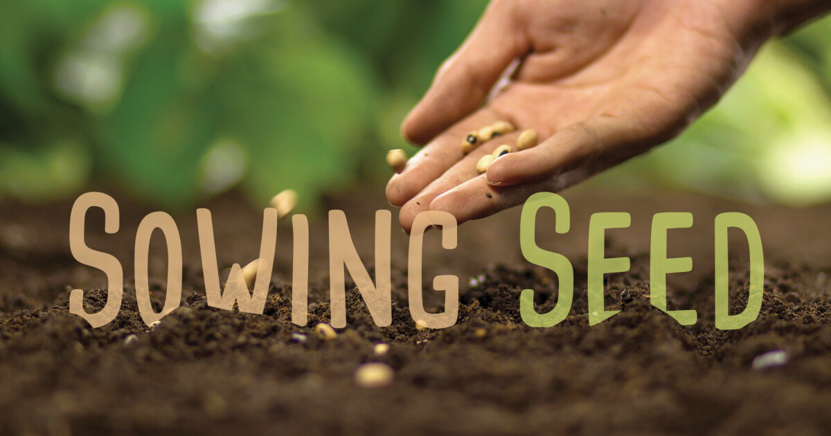 Sowing Seed | Sermons | Cross Pointe Church