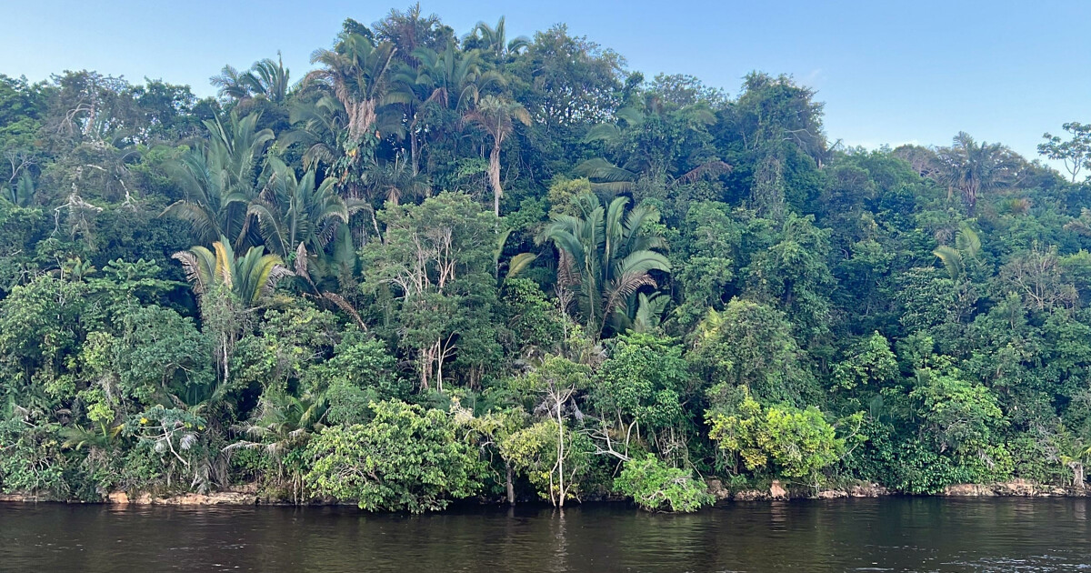 FAQs | Amazon Outreach