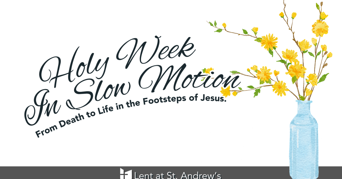 A Mustard Seed Revolution | Sermons | St. Andrews United Methodist Church