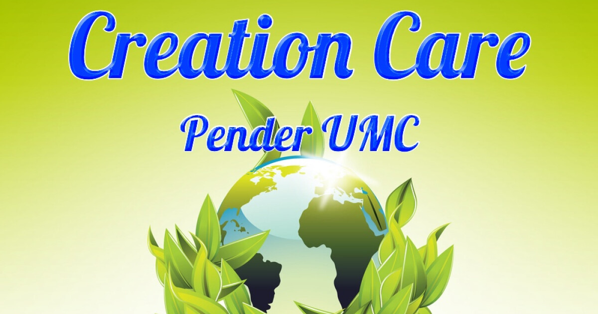 Faith in Action: Simple Steps to Save Electricity and Care for God’s Creation | Pender Blog ...