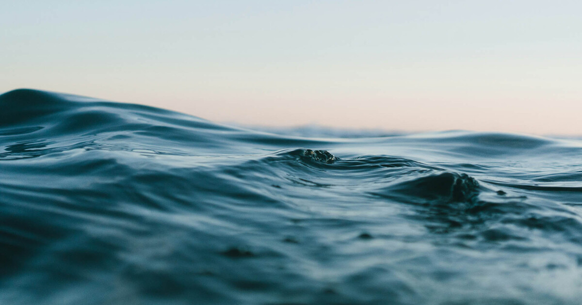 A Righteous Heart Ready for Revelation | Pastor's Devotions | New Hope Oahu