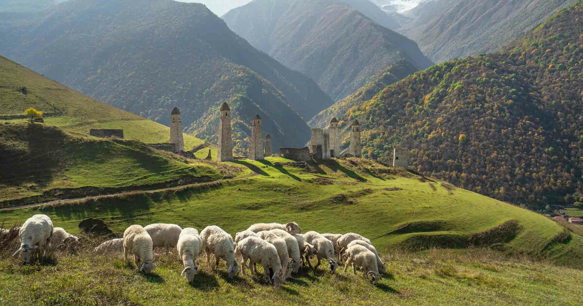 Stranger Danger | Pastor's Devotions | New Hope Oahu