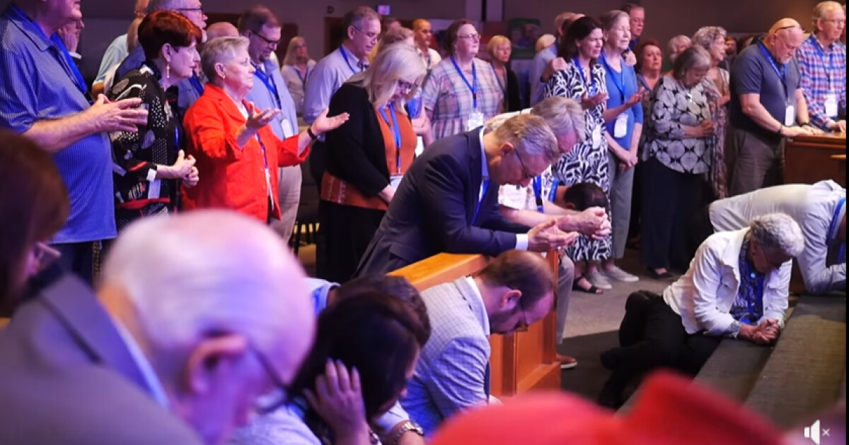Video Recap of the MS-WTN 2025 Annual Conference | Articles | Madison ...
