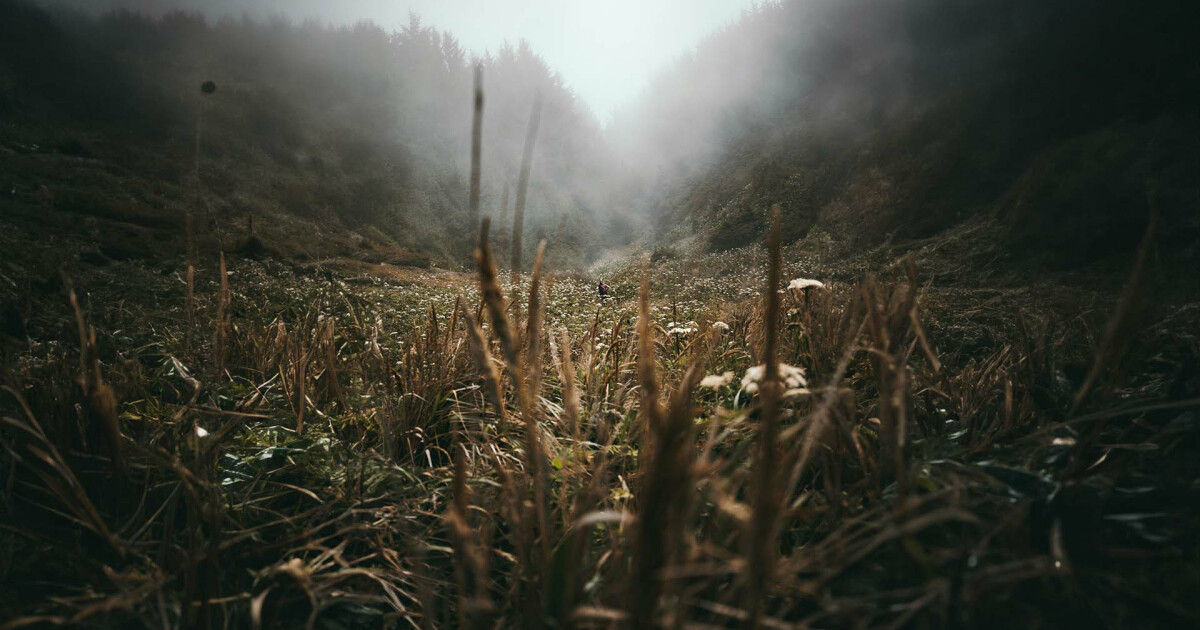 Seek and Surrender | Pastor's Devotions | New Hope Oahu