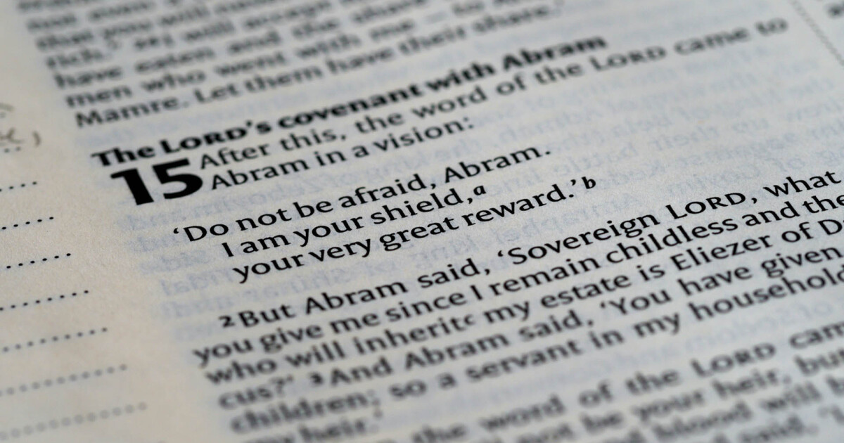 Trust When Tested | Pastor's Devotions | New Hope Oahu