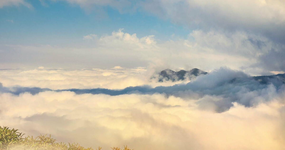 The Divine Nature | Pastor's Devotions | New Hope Oahu