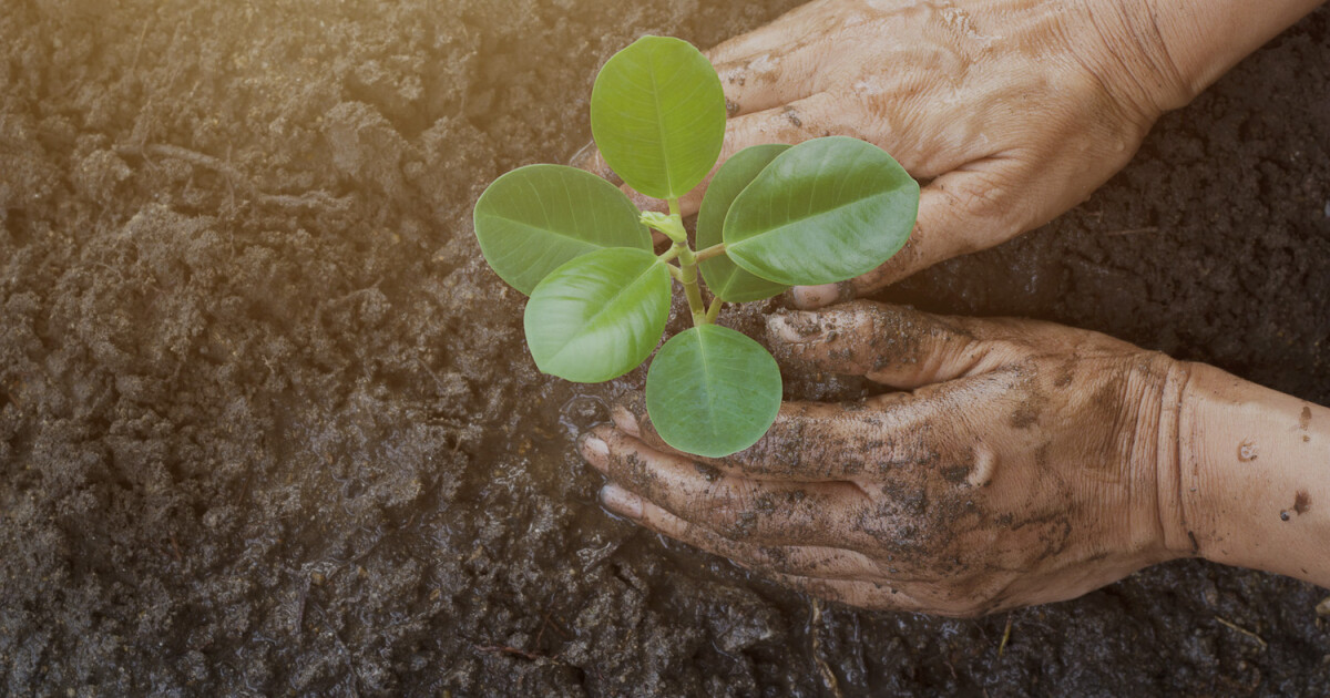 Church Planting Incubator | Aletheia Church