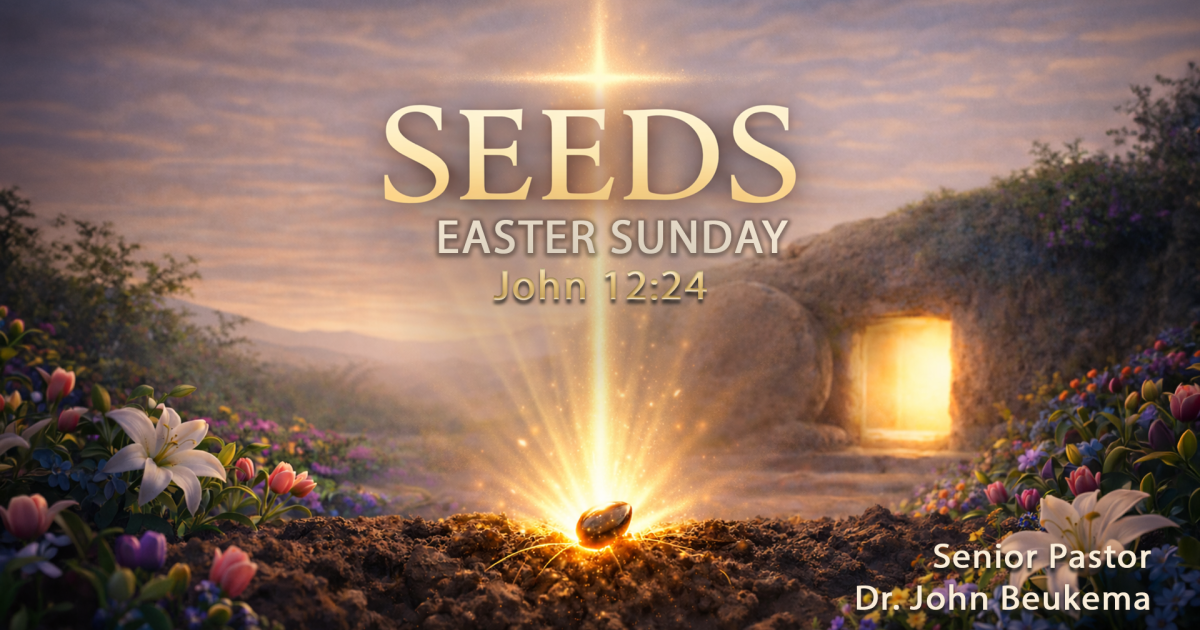 Seeds | Sermons | The Worship Place