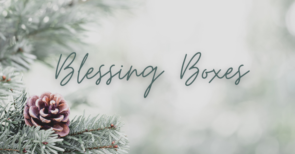Blessing Boxes | Announcements | St. Andrew United Methodist Church