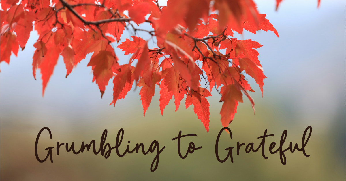 Grumbling to Grateful | The Deep Well Blog | Bay Life Church