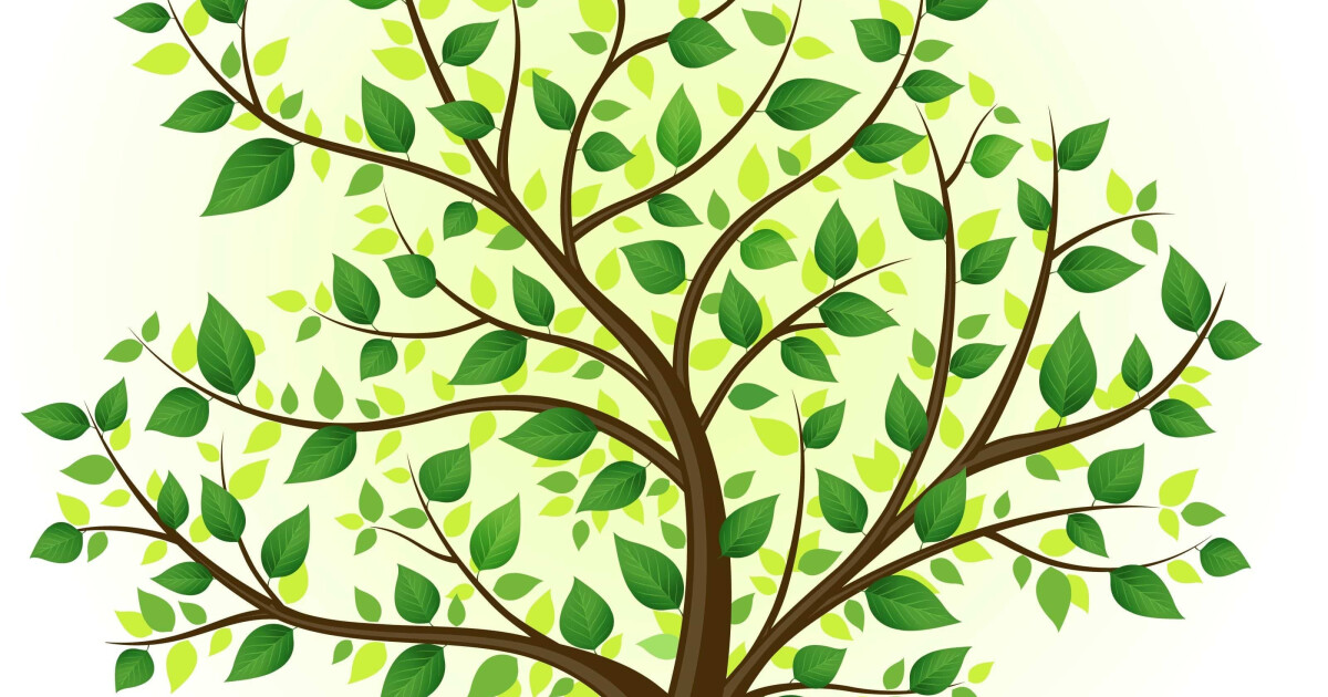 Endowment Fund | St. Paul Lutheran Church