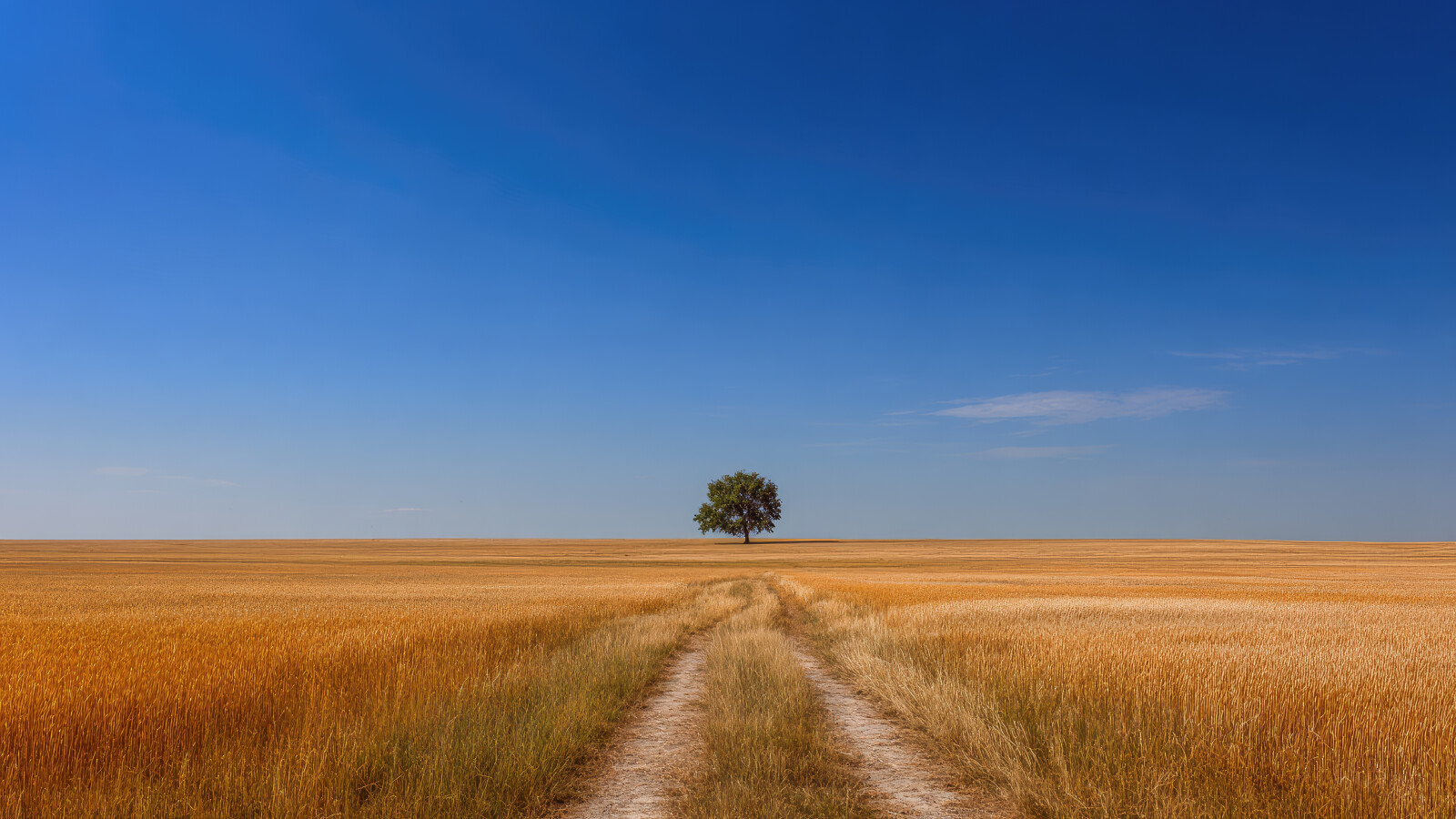 Choose Your Master Wisely | Blog | Sherwood Oaks Christian Church