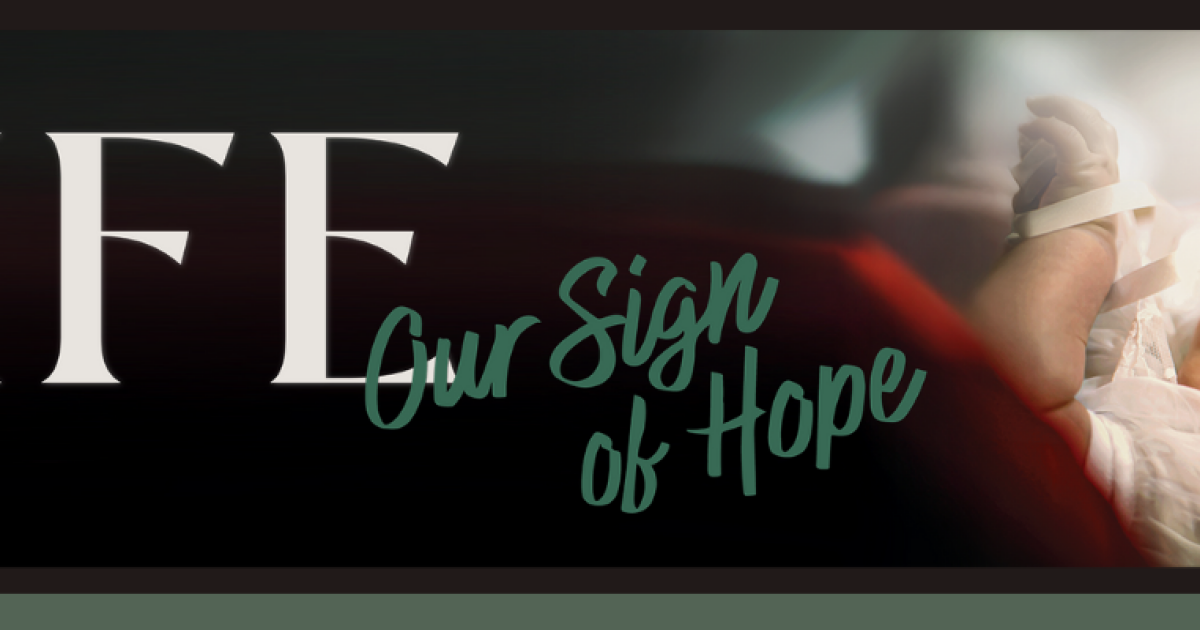 Catholic Respect Life Month | Good Shepherd Catholic Community