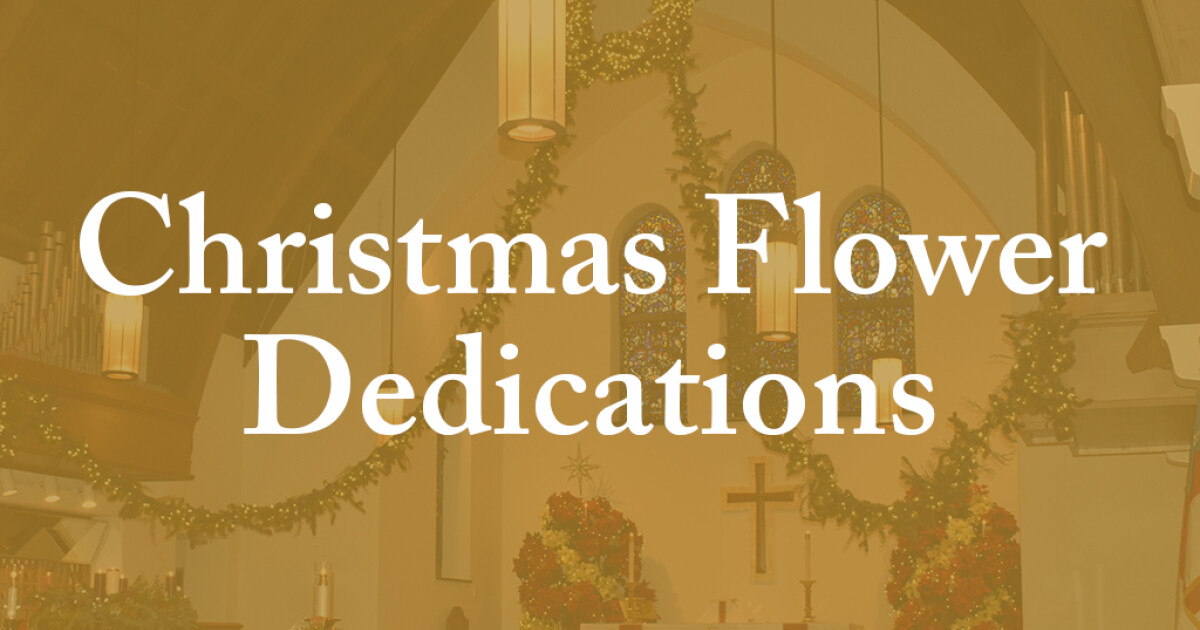 All Saints Christmas Flower Dedications | Articles | All Saints ...
