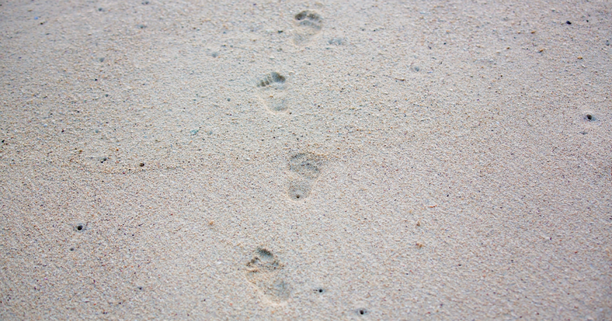 Baby Steps of Faith: Embracing Grace in the Journey | Articles ...