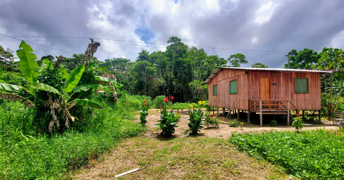 The Amazon | Amazon Outreach