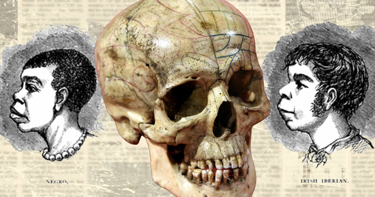 Scientific Racism | Articles | Creation Moments