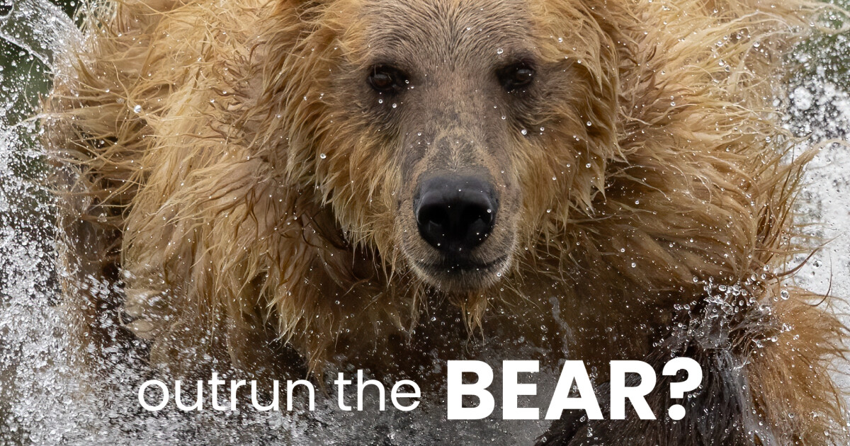 Outrun The Bear | Blog | Twickenham Church of Christ