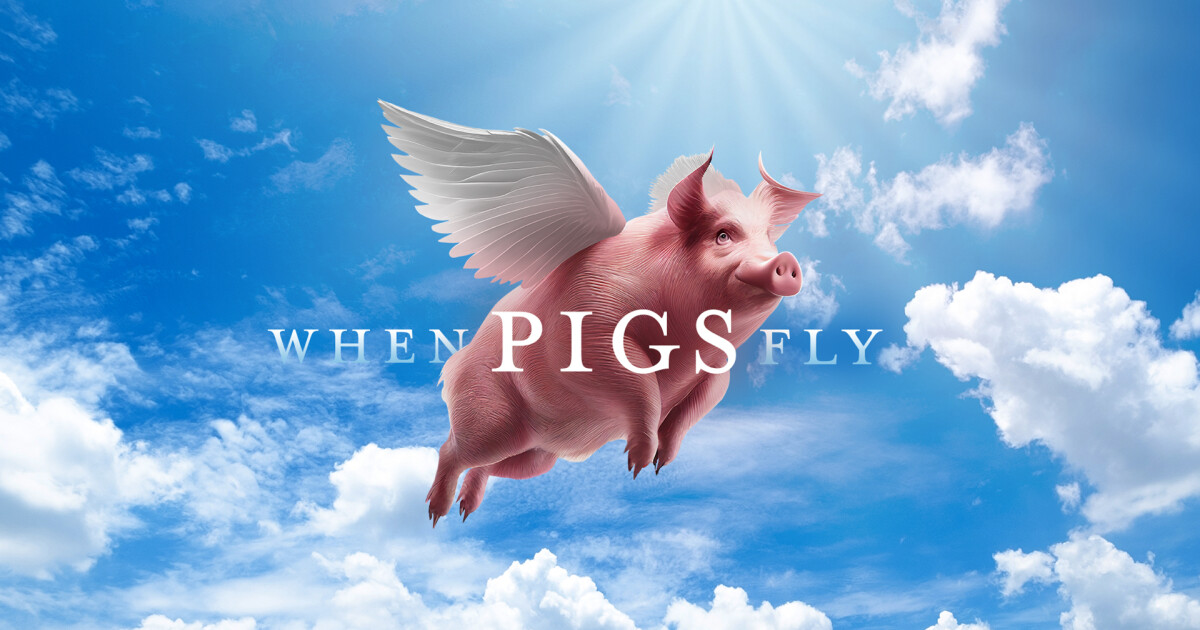 When Pigs Fly Week 6: Friday | Sagebrush Church