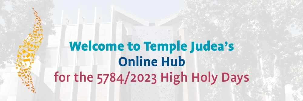 How To Watch | Temple Judea