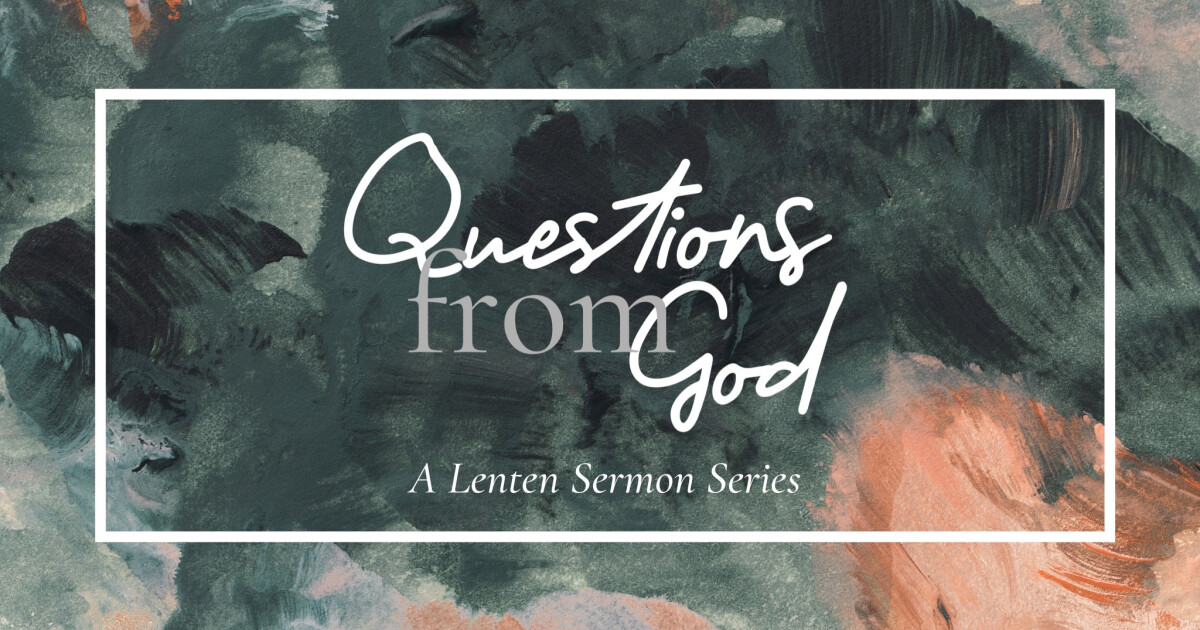 Question from God: “Where is Your Brother?” (11:00) | Sermons | First ...