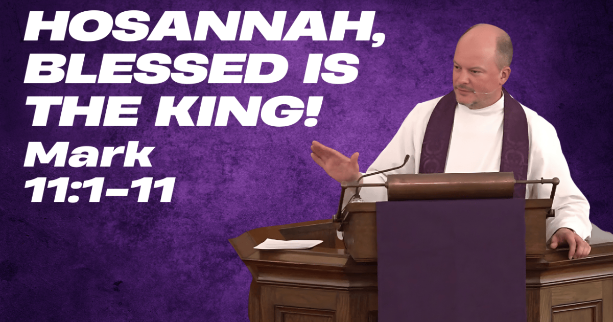 Hosannah, Blessed is the King! | Sermons | Second City Church