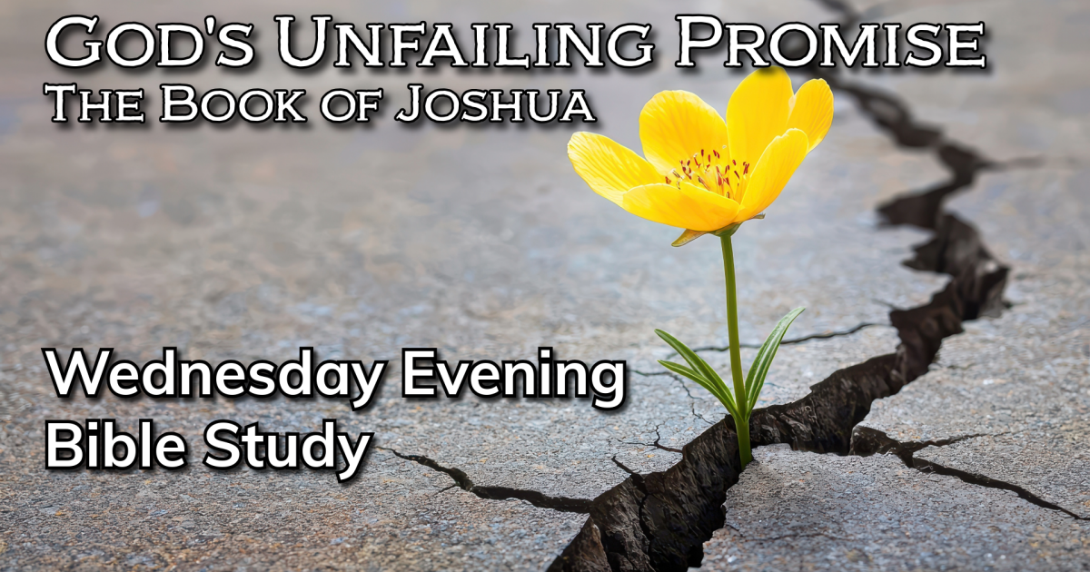 January 14, 2026 | Wednesday Bible Study | The Worship Place