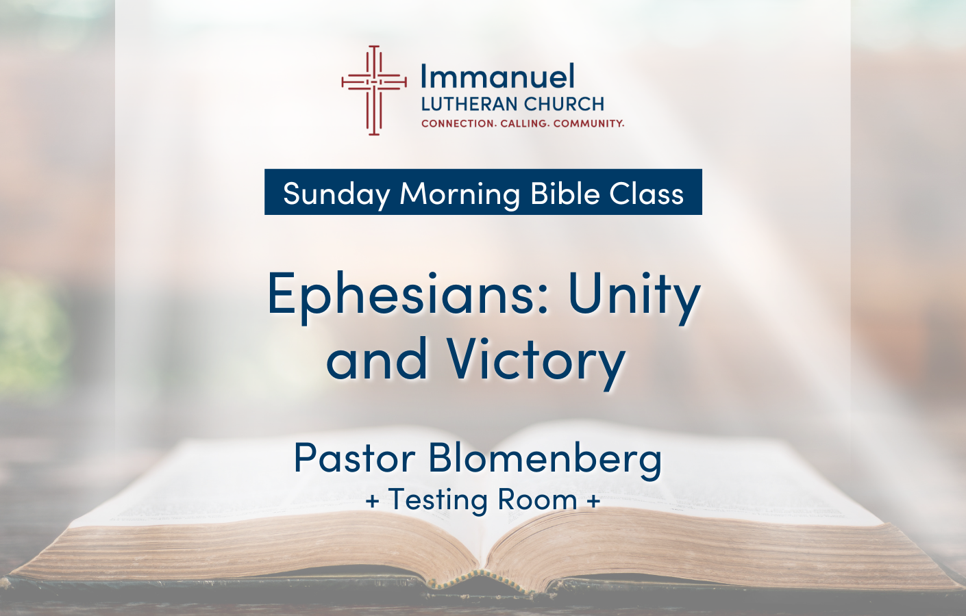 Ephesians: Unity and Victory | Immanuel Seymour