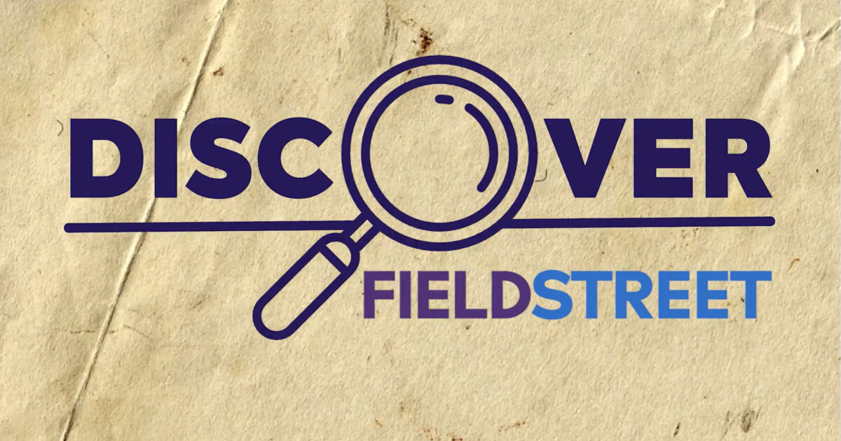 Discover Field Street | Field Street Baptist