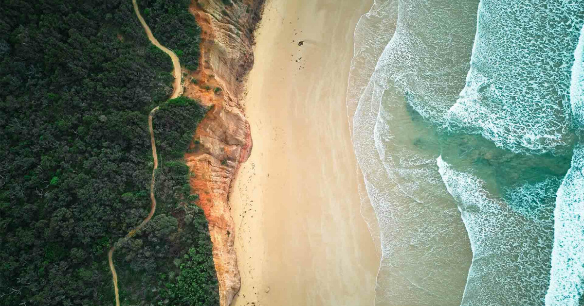 Ripping Each Other Apart | Pastor's Devotions | New Hope Oahu