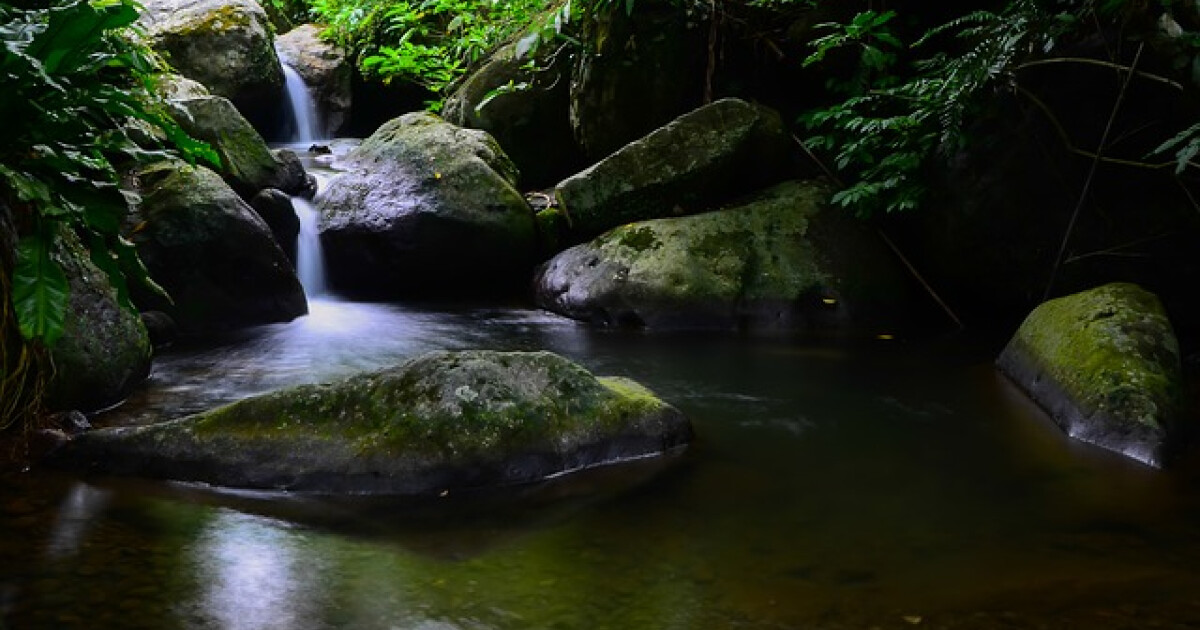 Keeper of the Spring | Blog | Fellowship Bible Church Murfreesboro